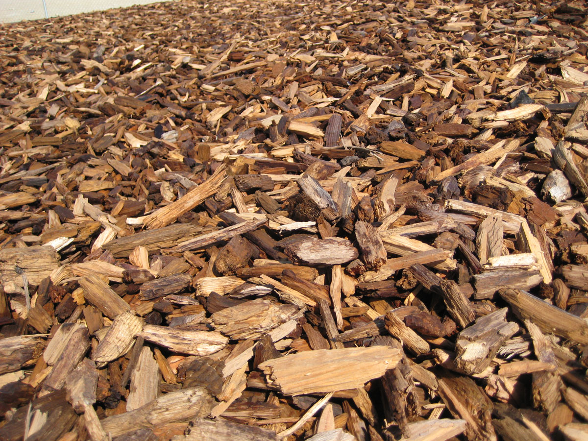 GES Biotek::Case Studies - Air Distribution System Smoke Test, Richmond, CA